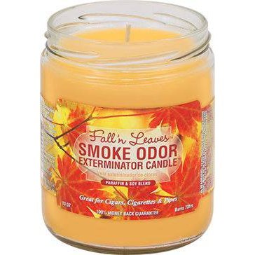 Smoke Odor Exterminator Candle - Fall n Leaves – Groovy Glassware